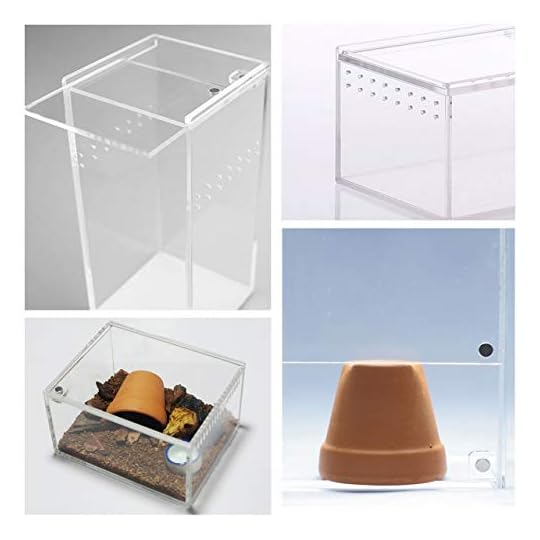 2 Pack Acrylic Reptile Terrarium Insect Tarantula Enclosure Tank Snail ...