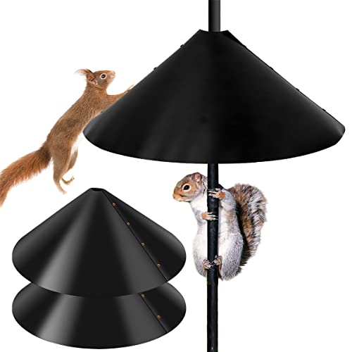10 Best Squirrel Bird Feeder Guards for your peace of mind: A Review ...