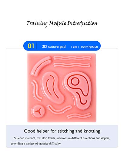 Laplay Laparoscopic Trainer, Simulator Box with Endoscope - Want It All