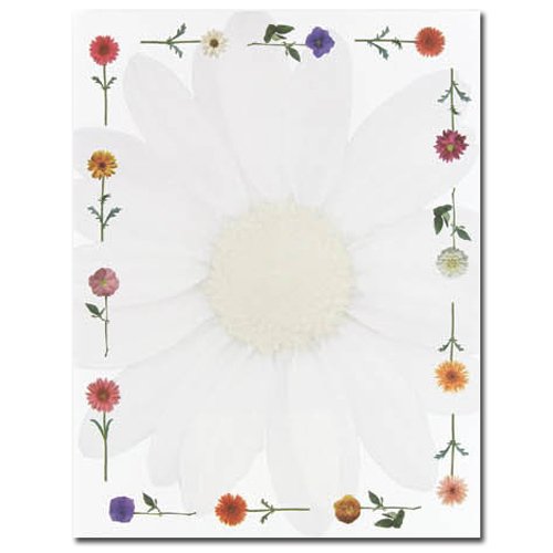 Amazon.com: Great Papers! Daisies Letterhead : Office Products