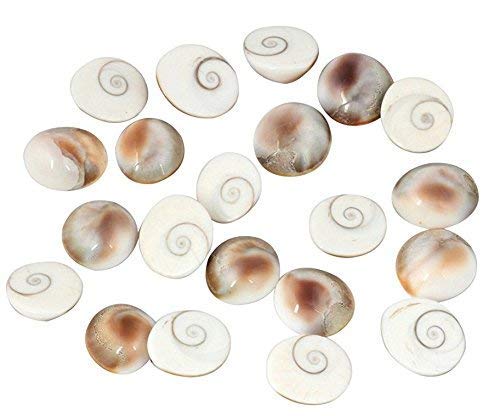 Buy Natural Gomati Chakra from Gomti River (Standard, Off White) - Set ...