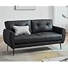 Amazon.com: TYBOATLE Sofa Couch 61" Small Loveseat Couches for Living ...