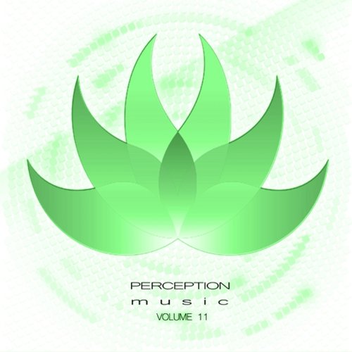 Amazon MusicでVARIOUS ARTISTSのPerception Music Vol 11を再生する