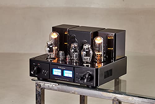 Best Stereo Tube Amp For The Money – Tube Amplifier Reviews