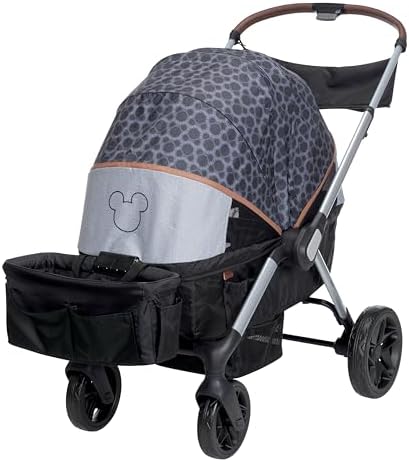 Amazon.com : Disney Baby Summit Wagon Stroller fits 2 Kids Includes ...