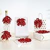 Amazon.com: AIMUDI Red Curly Bows 4" Red Burst Bows Self Adhesive Curly ...