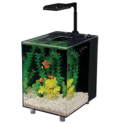 Best Small Fish Tank For Beginners