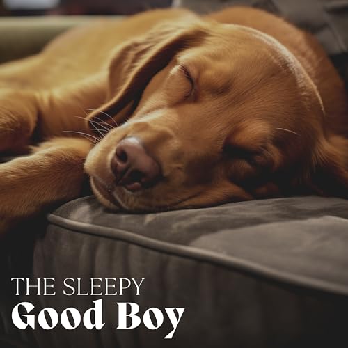 The Sleepy Good Boy von Music For Dogs With Anxiety bei Amazon Music ...