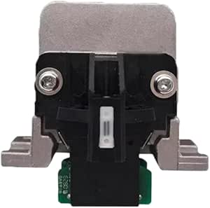 Amazon.com: ENHVNYZA Print Head F045000 F078010 Compatible with LX300 ...