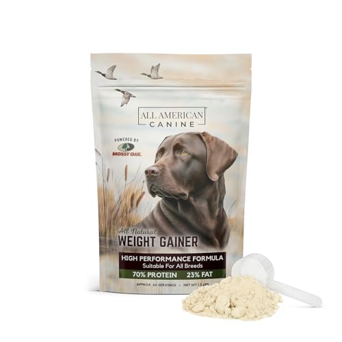 10 Best Weight Gainer For Dogs