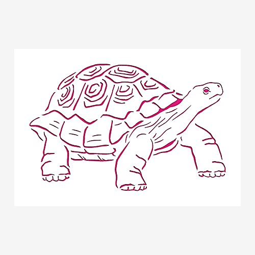 How To Draw A Sulcata Tortoise