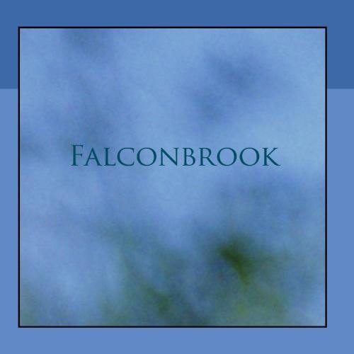 S / T - EP: Falconbrook: Amazon.in: Music}