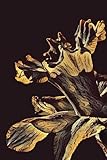 ・製造元:Independently published