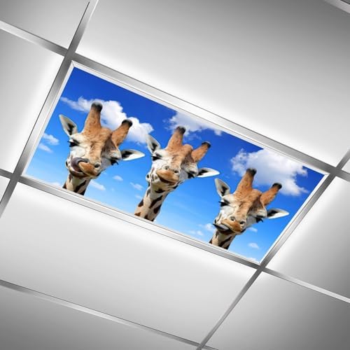 Fluorescent Light Covers for Classroom Ceiling Lights Magnetic Light ...