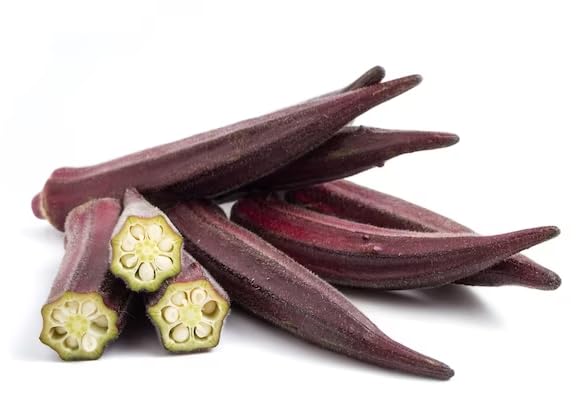 Lal Bhindi-Red LadyFinger/okra- Abelmoschus esculentus Vegetable Seeds ...