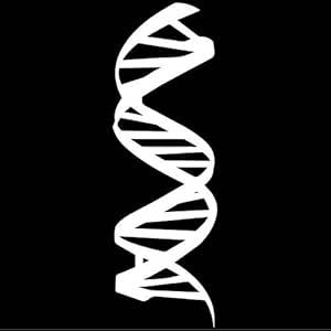 Amazon.com: DNA Double Helix Strand Decal Sticker (white), - PEEL and ...