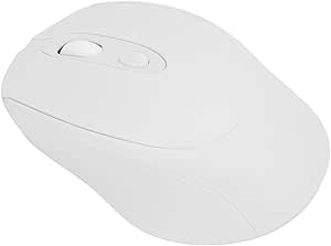 Amazon.com: Mouse 5.0 Dual Mode Silent Laptop Mouse, Ergonomic Portable ...