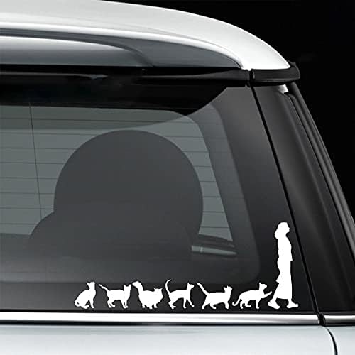 Crazy Cat Lady Car Decal
