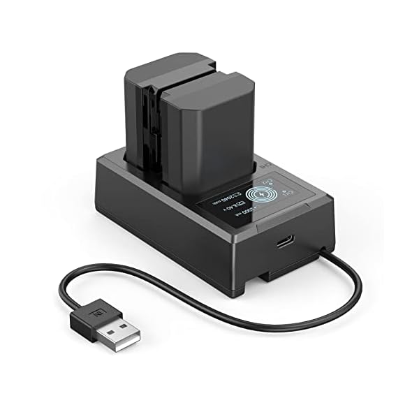 SmallRig NP-FZ100 Camera Battery Charger 3824B - EverKing LLC