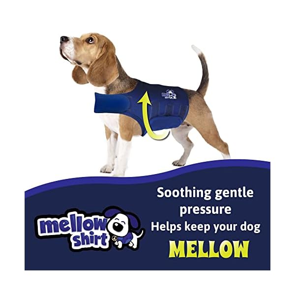 Dog Anxiety Calming Wrap, Large, Cypress