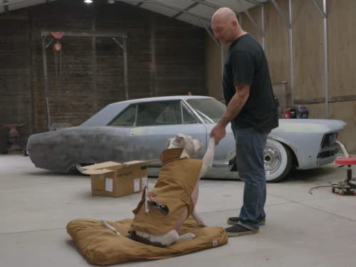 Full Custom Garage – The 15 best products compared - Your Motor Guide