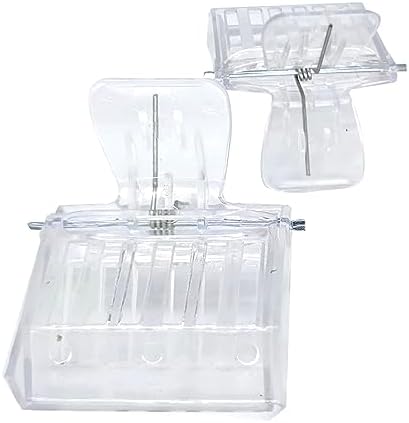 Amazon.com : 5 Pieces Queen Bee Cage Catcher Clips Plastic Queen ...
