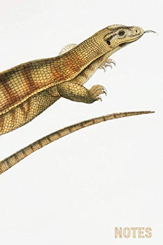 Notes: Yellow Monitor Lizard Cover | Pet Reptile Notebook | Science ...