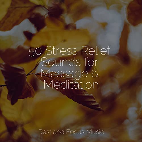 Amazon Music - Guided Meditation Music Zone, Zen, Music for Absolute Sleepの50 Stress Relief ...