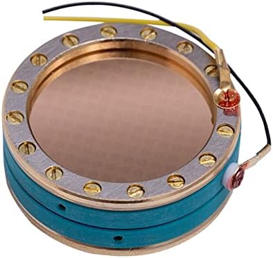 Amazon.com: pizarra 34mm Diaphragm Microphone Core Recording Condenser ...