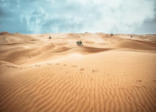 Amazon.com : 4.5x33 Ft Desert Sand Wall Backdrop Decorations,Roll of ...