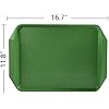 Amazon.com | Aebeky Plastic Fast Food Tray,16.7 by 11.8-Inch,Set of 12 ...