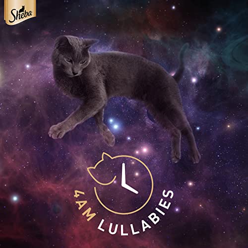 Sheba Cats – Die 15 besten Produkte im Vergleich - Haustierratgeber ...
