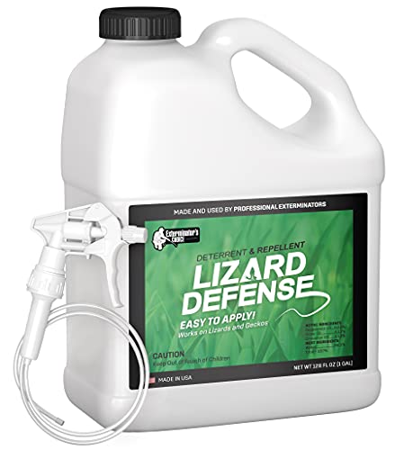 How to Get Rid of Lizards in the House, Garden, Yard, Porch