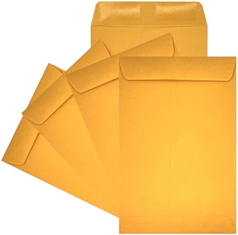 Amazon.com : 250 Cashier Depot 6" X 9" Catalog Envelopes (Open End ...