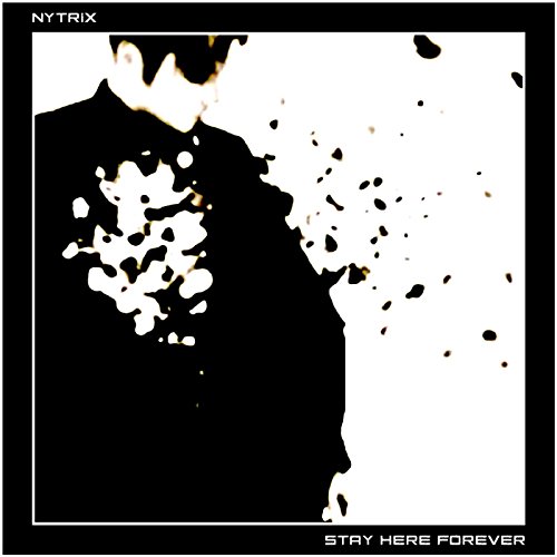Amazon.com: Stay Here Forever : Nytrix: Digital Music