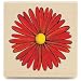 Amazon.com: Large Gerber Daisy Wood Mounted Rubber Stamp : Arts, Crafts ...