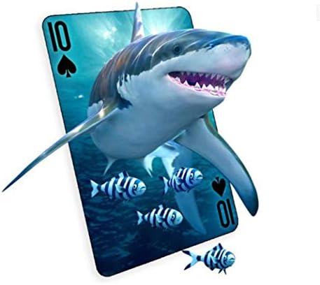 Amazon.com : 3D Shark Themed Products (Shark Cards) : Office Products