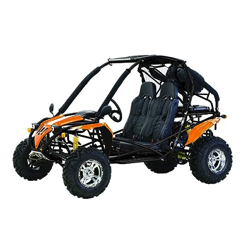 Top 10 Best Off Road Go Karts : Reviews & Buying Guide - Katynel
