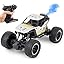 Zest 4 Toyz Remote Control Car for Kids with Mist Smoke Spray Function 2 WD Monster Truck Rock ...