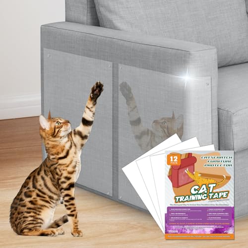 Cat Proof Furniture – The 15 best products compared - Wild Explained