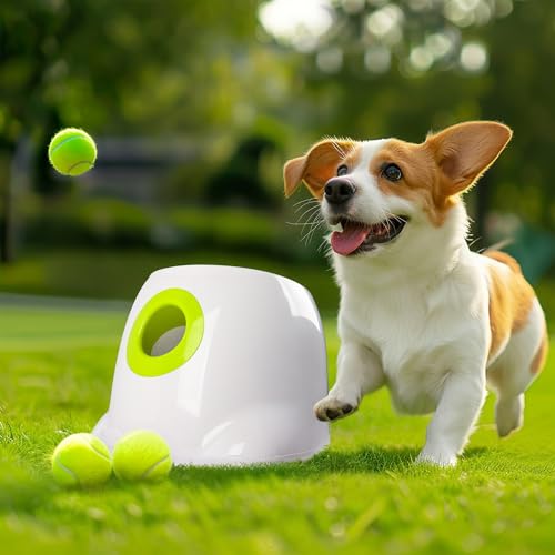 Amazon Best Sellers: Best Automatic Dog Toy Ball Launchers