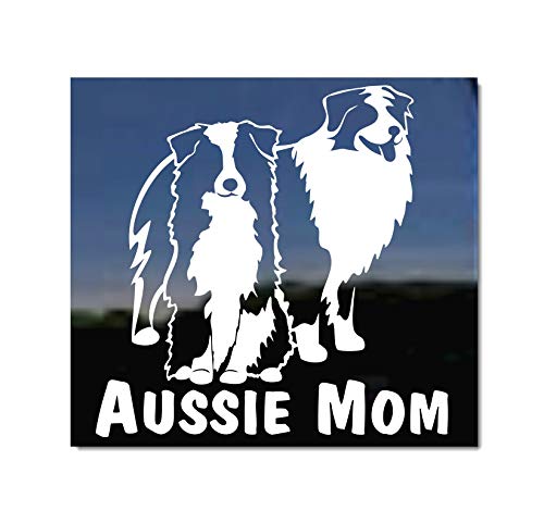 Round Up the Best Herding Tools for Your Australian Shepherd: A Top 10 ...