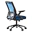 Ergonomic Home Office Desk Chair with Flip up Armrests and Wheels ...