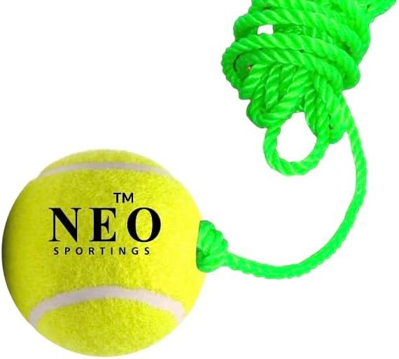 TIMA Leather Cricket Shot Practice Hanging Ball, String Cricket Ball ...