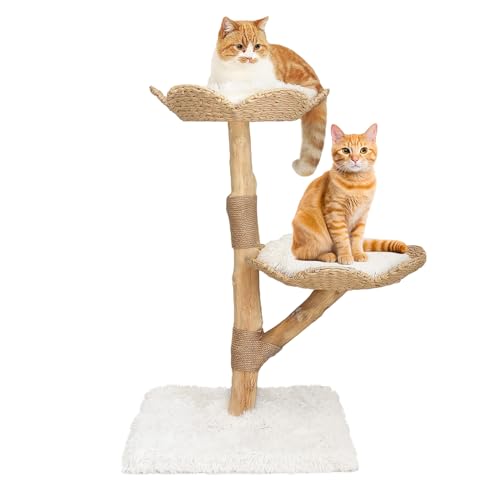 Take your Feline Fun to New Heights with These Top 10 Branch Cat Trees ...
