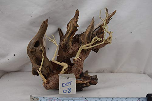 Redmoor Wood for sale in UK | 37 used Redmoor Woods