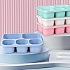 Amazon.com: Sinnsally 5 Compartment Bento Box, Reusable Lunch ...