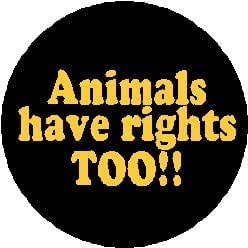 Amazon.com: Animals have rights TOO!! 1.25" Pinback Button Badge / Pin ...
