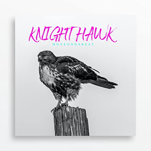 Knight Hawk – Die 15 besten Produkte im Vergleich - Die besten Angel ...