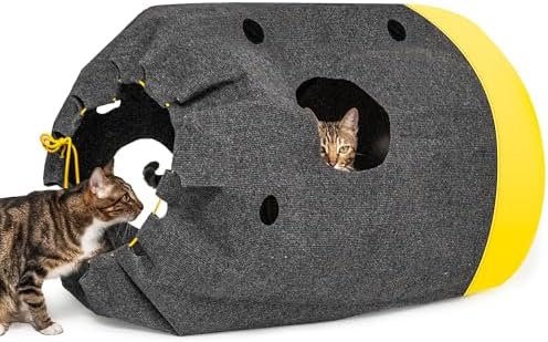 Amazon.com: Homrich Interactive Cat Play Bag- Durable Rug for Hide and ...